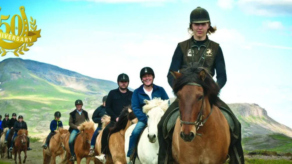 Horseback Riding from Reykjavik - Iceland Highlights